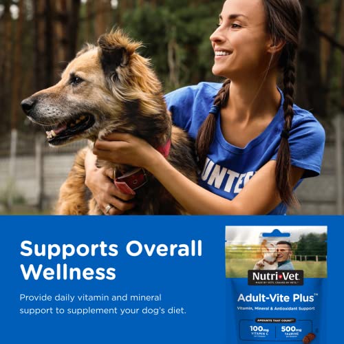 Nutri-Vet Adult-Vite Plus Soft Chews for Dogs |Formulated with Vitamins and Minerals | Supports Everyday Health | 70 Count