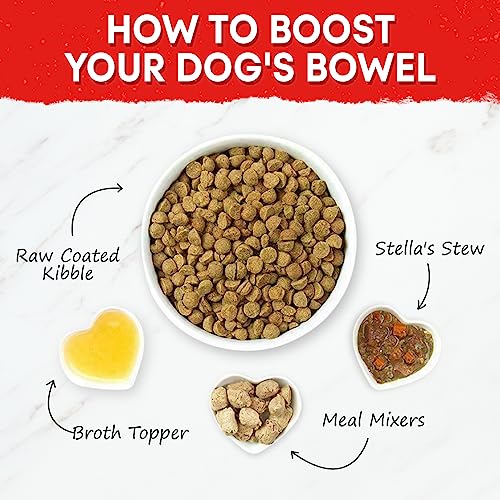 Stella & Chewy's Raw Coated Beef Recipe Dog Food 10lb