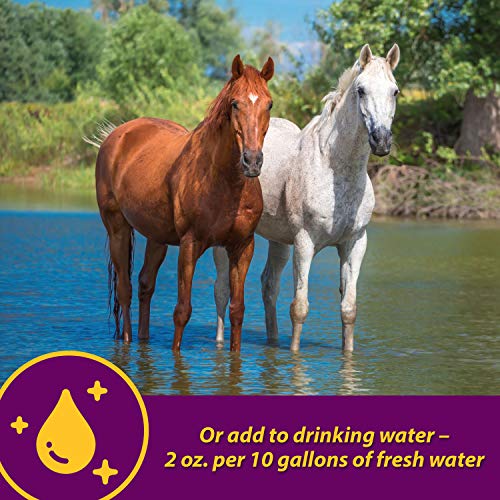 Horse Health Apple-Dex Apple Flavored Electrolytes for Horses, Replaces minerals lost during exercise, under stress or extreme weather conditions, 5 pound
