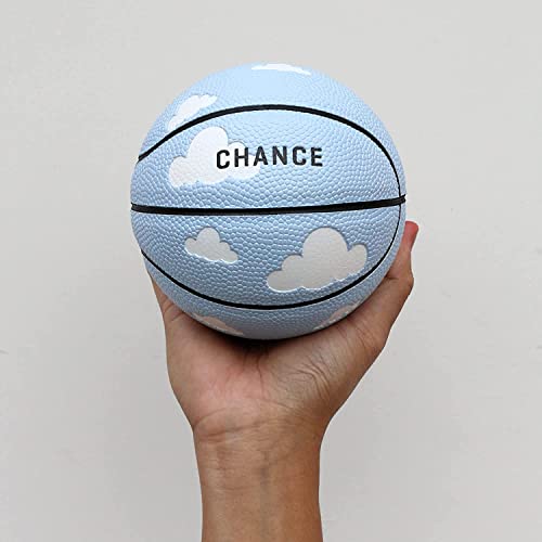 Chance Mini Basketball – Float – 9-inch Collectible Composite Leather Indoor Miniature Basketball (Size 1)