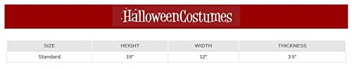Fun Costumes Ghostbusters: Cosplay Proton Pack Backpack w/Wand Standard