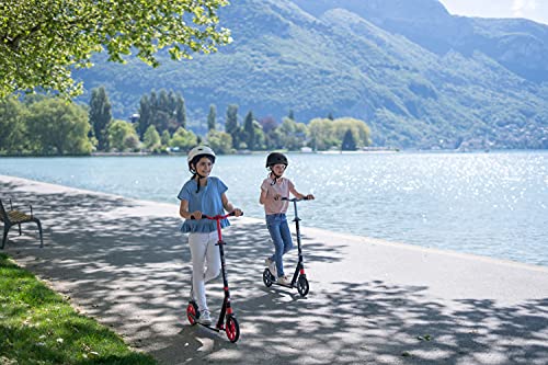 Globber 2 Wheel Kick Scooter for Teens and Adults Ages 41+ | Adjustable T-Bar Scooter with 3 Height Settings | Foldable Kick Scooter for Easy and Convinent Travel & Storage (Black & Grey)
