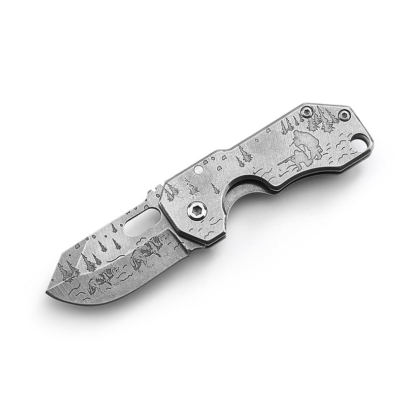 DOOM BLADE Gray Folding Pocket knife,Cool Knives for Outdoor Camping - Military Style - Tactical Knife with Liner Lock