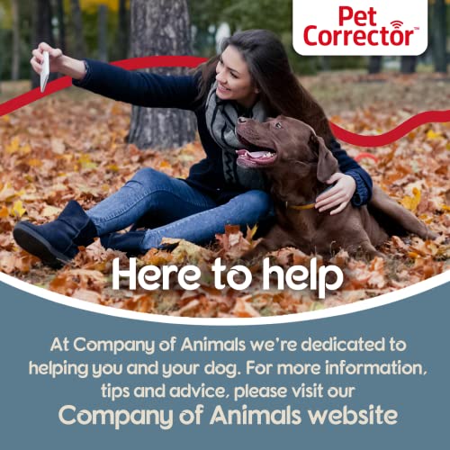 PET CORRECTOR Dog Trainer, 200ml. Stops Barking, Jumping Up, Place Avoidance, Food Stealing, Dog Fights & Attacks. Help stop unwanted dog behavior. Easy to use, safe, humane and effective.