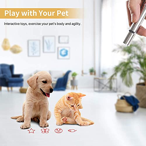 Laser Pointer Cat Toys for Indoor Cats, Interactive Cat Toy, Red Light Lazer Pointer, Multi-Mode USB Rechargeable Pet Dogs Kitten Toy, Long Range Teaching/Presentation Pen
