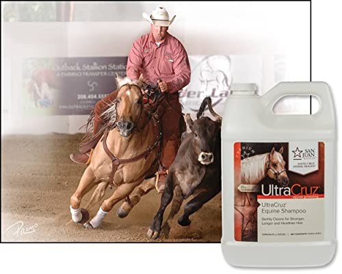 UltraCruz Equine Horse Shampoo, 1 Gallon (sc-395294)