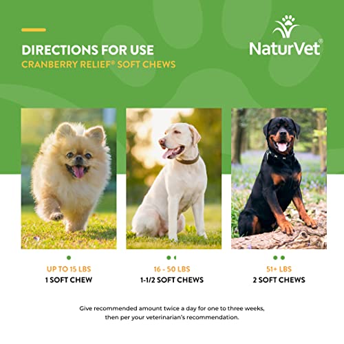 NaturVet – Cranberry Relief Plus Echinacea – Helps Support a Healthy Urinary Tract & Immune System – 60 Soft Chews