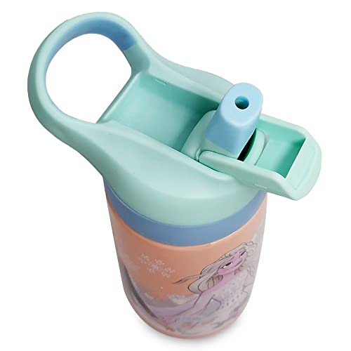 Disney Frozen Stainless Steel Water Bottle with Built-In Straw