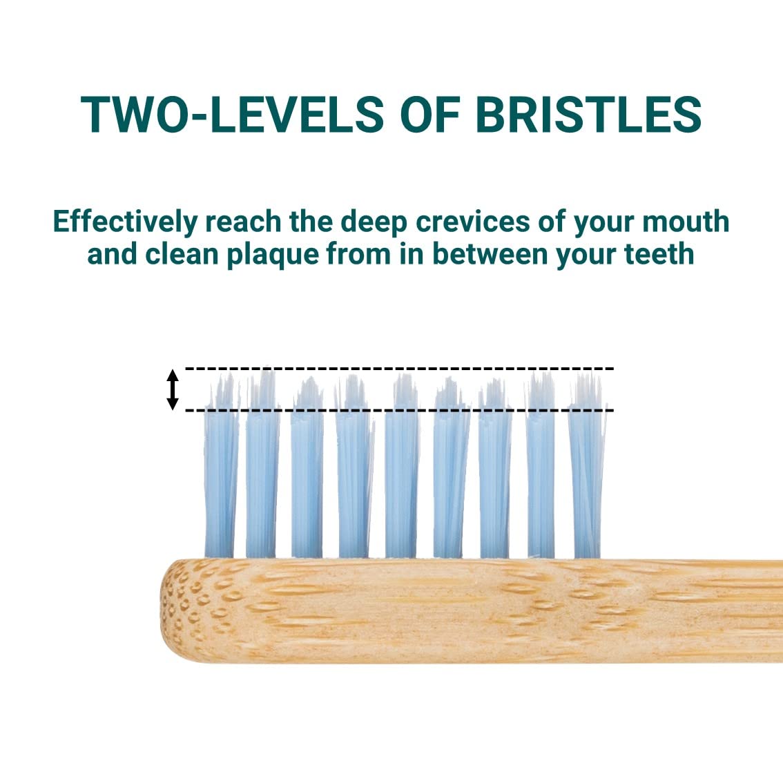 DR.NOAH Maru Kids Bamboo Toothbrush, 6 Pack | Designed by Dentists | Soft, Tapered, BPA Free Bristles | Ergonomic Design | Eco Friendly