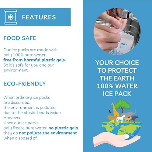 Insulated Lunch Bag with Zip Lock & Handle, Reusable Cool & Thermal Bags, Cooler Pouch, Hot & Cold, Ideal for Sandwich, Snack, Drink, Grocery, Camping (Medium_5 bags 9.8 x 11.0 inches + 5 Ice packs)
