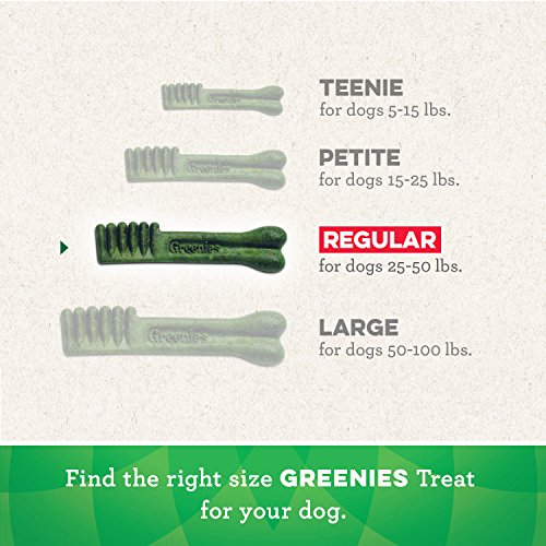 Greenies Aging Care Regular Natural Dental CareDog Treats, 27 oz. Pack (27 Treats)