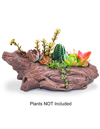 Dahlia Driftwood Stump Log Concrete Planter/Succulent Pot/Plant Pot, 7.9L x 4.3W