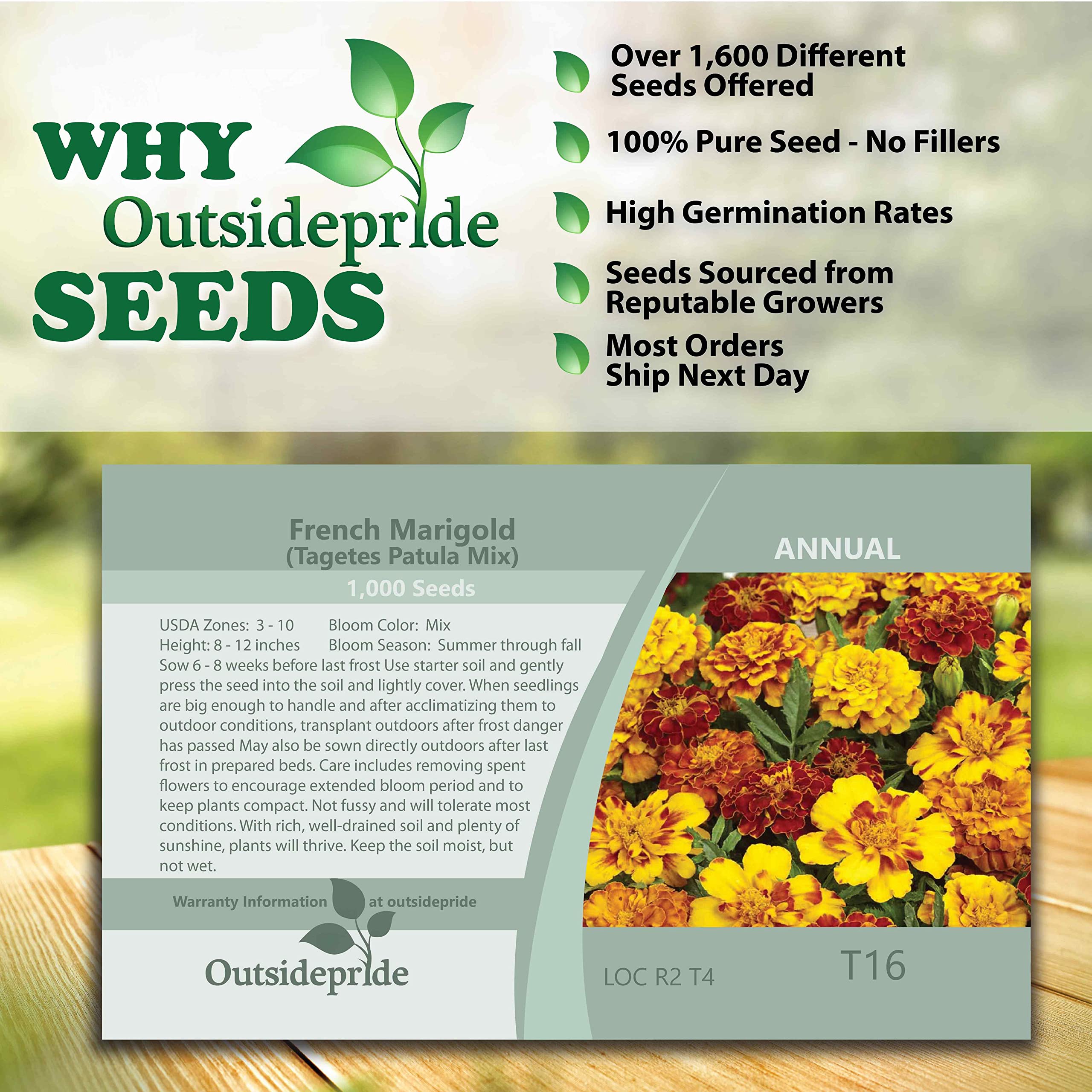Outsidepride Tagetes Patula French Marigold Garden Flower Seed Mix - 1000 Seeds
