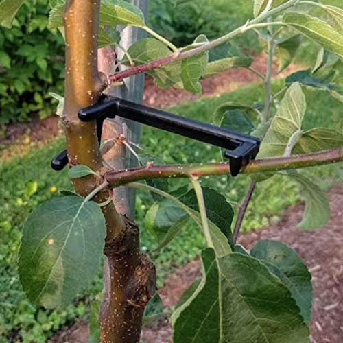 CLISPEED 20 Pcs Branch Press Valve Stem Tool Tree Branch Spreaders Tree Limb Spreader Plants Branch Trainer Branches Fixing Tool Branches Trainers Gardening Twig Clips Adjustable Bracket or