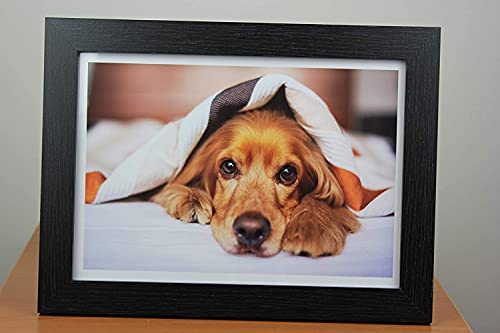 PPD Inkjet Glossy Photo Paper LTR 8.5x11" 49lbs 180gsm 9.9mil x 50 Sheets (PPD024-50)