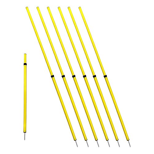 Bluedot Trading Soccer Agility Training Poles, Fixed or Adjustable (4,6,8pc-set)