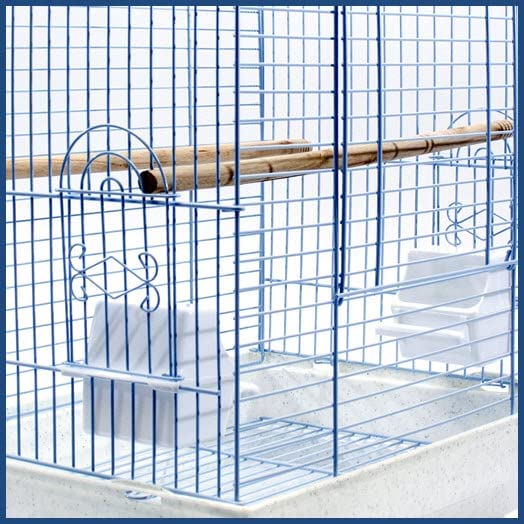 PENN-PLAX Cockatiel & Small Parrot Starter Kit with Birdcage, Cover, and Accessories β Great for Cockatiels, Conures, and Small Parrots β Square Dome β White