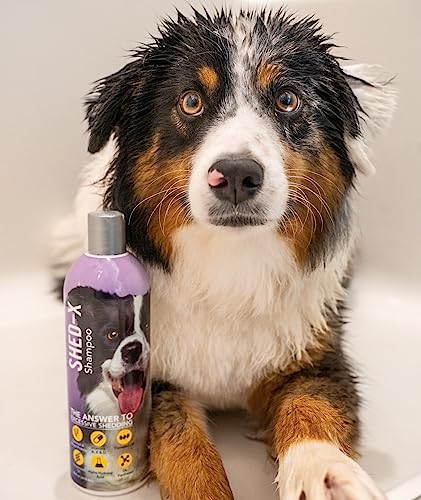 Shed-X Shed Control Shampoo for Dogs, 16 oz β Reduce Shedding β Shampoo Infuses Skin and Coat with Vitamins and Antioxidants to Clean, Release Excess Hair, and Exfoliate