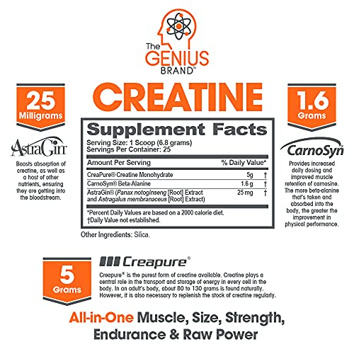 Genius Micronized Creatine Monohydrate Powder, Post Workout Supplement, Unflavored - 100% Naturally Flavored & Sweetened - Supports Muscle Building, Cellular Energy & Cognitive Function – 170g