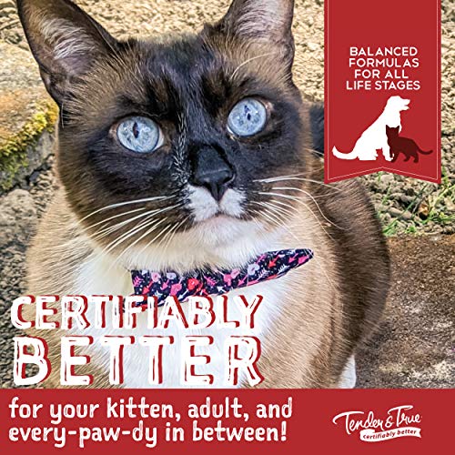 Tender & True Antibiotic-Free Turkey & Brown Rice Recipe Cat Food, 3 Pound(Pack of 1)