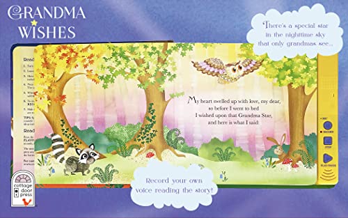 Grandma Wishes: Recordable Keepsake Board Book - Record Your Voice Reading the Story!