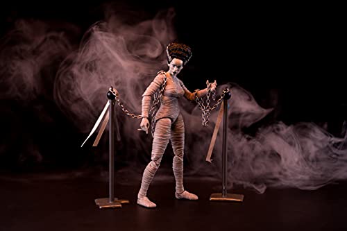Jada Toys Universal Monsters 6" Bride of Frankenstein Action Figure, Toys for Kids and Adults, Black