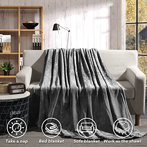 LBRO2M Flannel Fleece Bed Blanket, Queen Size Super Soft Warm Fuzzy Microfiber Velvet Plush Throw Lightweight Cozy Couch Blankets, All Season Use