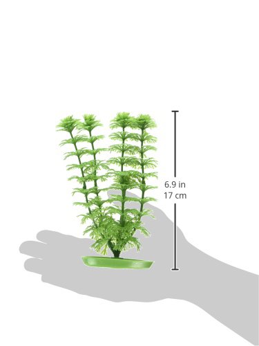 Marina Aquascaper Fish Tank Decorations, Ambulia Plant, 8-Inch