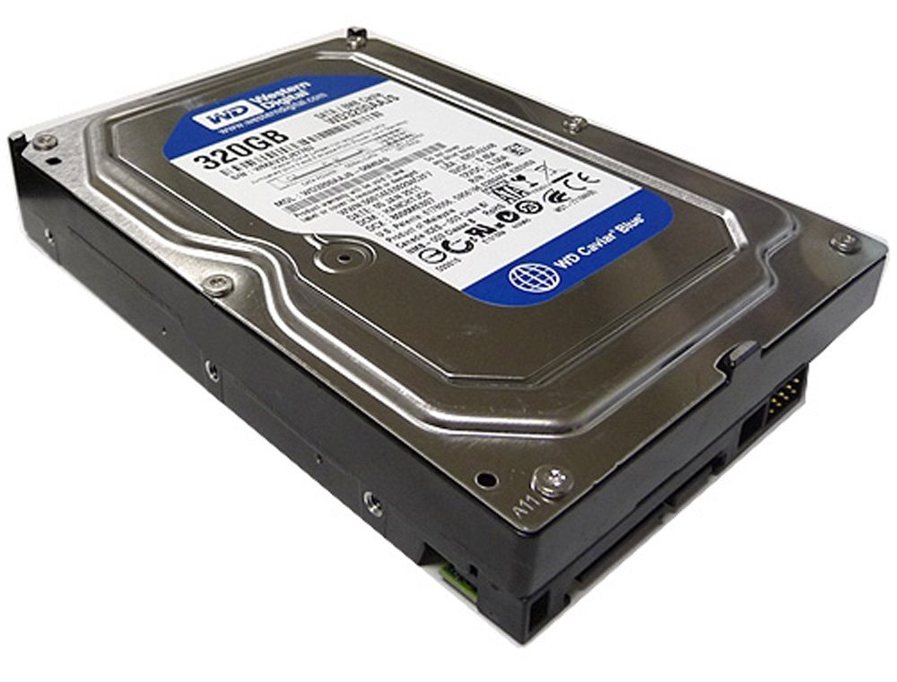 Western Digital (WD) Caviar Blue 320 GB (320gb) SATA II 7200 RPM 8 MB Cache Bulk/OEM Desktop Hard Drive for PC, Mac, CCTV DVR, NAS, RAID- 1 Year Warranty