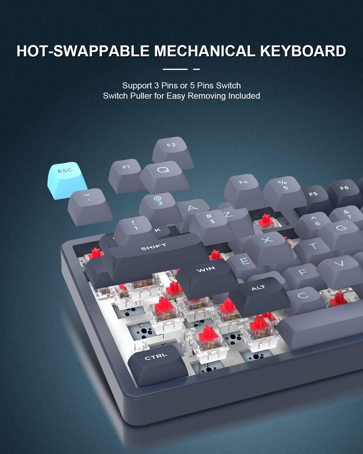 dagaladoo XVX WK87 Wired Mechanical Keyboard, RGB Backlit Hot Swappable TKL Gaming Keyboard with Software, 80% Layout 87 Keys Custom Computer Keyboard for Mac/PC/Windowns (Red Switch/PBT Keycaps)