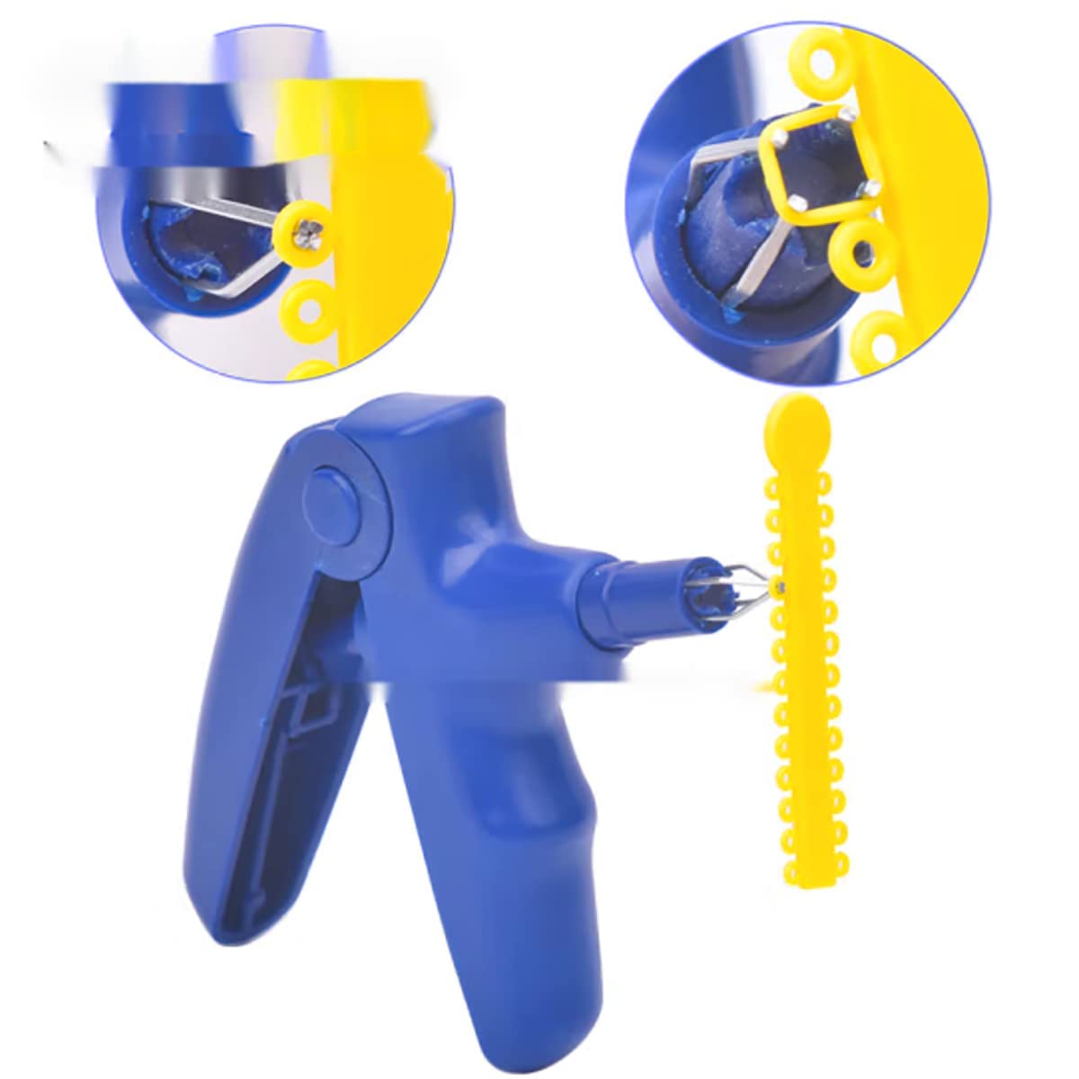 Braces Rubber Band tool Kits, Including Dental Orthodontic Ligature Ties and Orthodontic Ligature Gun Tools Teeth Orthodontic Ligature Ring Rubber Bands