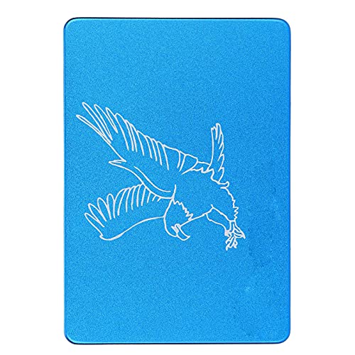 Garsentx Hsthe Sea SSD Automatic Recognition Intelligent Error Correction Blue Metal 2.5‑inch Hard Drive for Storing Data for OS X/Linux/Windows XP/Win/7/8/10 (8GB)