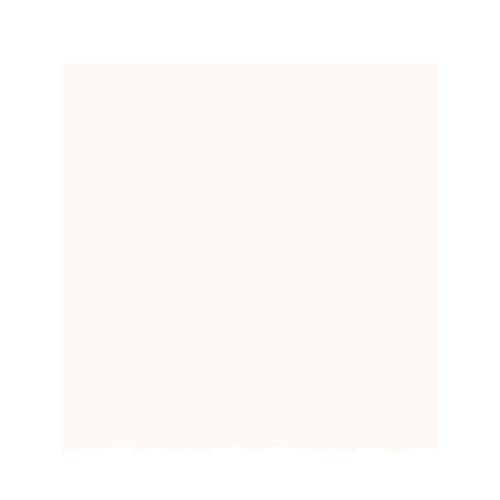 Strathmore Creative Cards with Envelopes, Fluorescent White Deckle, 5x6.875 inches, 10 Cards (80lb/216g) - Artist Paper for Adults and Students