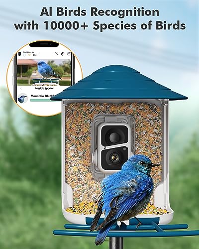 Dzees Security Camera Outdoor Wireless - Battery Powered WiFi Outdoor Camera Wireless, Smart Bird Feeder with Camera, AI Identify Bird Species, Auto Capture Bird Videos