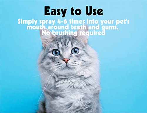 Petkin Plaque Spray, Cool Mint, 4 Fl Oz β Cleans Teeth & Gums, Removes Plaque & Tartar, Freshens Breath & Whitens Teeth with Baking Soda - Ideal Cat & Dog Dental Spray with No Brushing or Rinsing