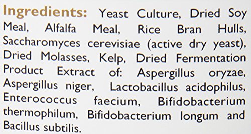 Nature's Farmacy Equine DFM (Direct Fed Microbial) Live Probiotics, Enzymes 50 Billion CFU Ounce