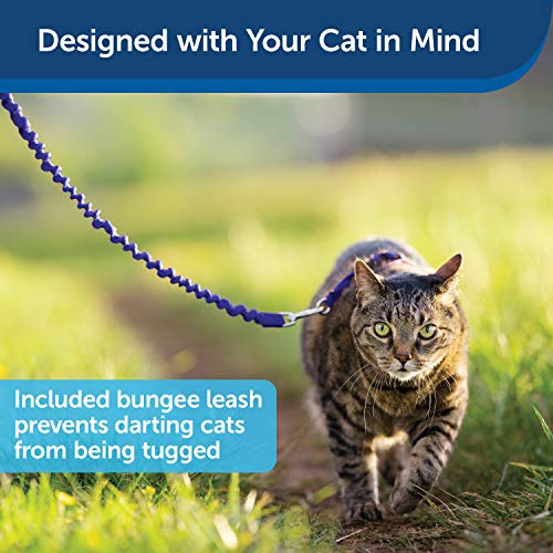 PetSafe Come With Me Kitty Harness and Bungee Leash, Harness for Cats, Large, Royal Blue/Navy