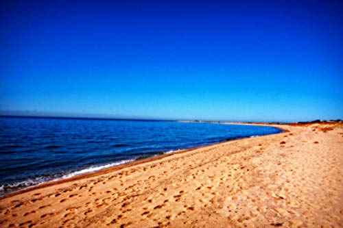 Buyartforless Long Walk to The Light by Jobe Waters 36x24 Photographic Reproduction Canvas, Blue