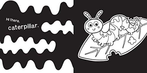 Hello, Garden Bugs: A High-Contrast Board Book that Helps Visual Development in Newborns and Babies (High-Contrast Books)
