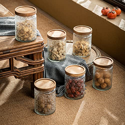 HolaJia Glass Jar with Lid β 24 oz Glass Storage Containers β Premium Jars with Airtight Lids for Coffee, Rice, Sugar β Decorative Cookie Jars for Kitchen Counter, Pantry(Stars)