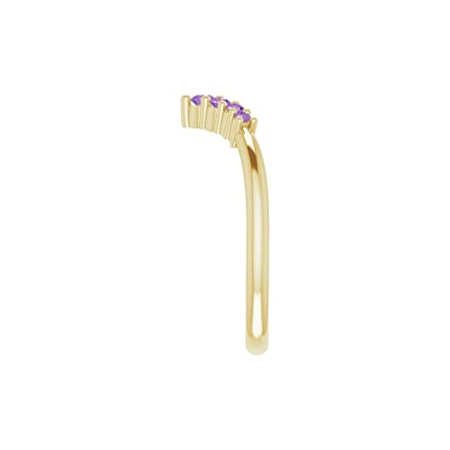 Bonyak Jewelry 14k Yellow Gold Amethyst Graduated V Ring Elegant, Size 7