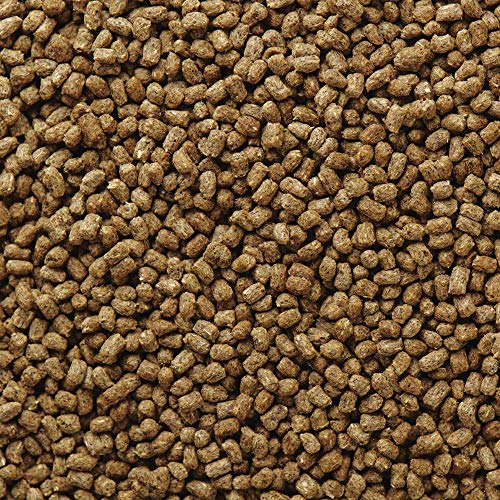 Mazuri | Bearded Dragon Food - Insect Portion of a Complete Diet | 8 Ounce (8 oz) Bag