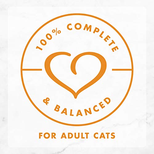 Purina Fancy Feast Gravy Wet Cat Food Variety Pack, Delights With Cheddar Grilled Collection - (24) 3 oz. Cans