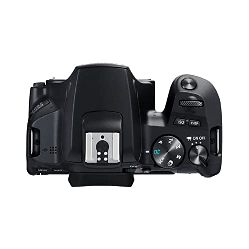 Canon EOS 250D/Rebel SL3 Vlogger Kit:EF-S 18-55mm & EF 75-300mm Lenses,128GB Memory,Tripod,3 Piece Filter Kit,Gadget Bag,Remote Shutter,USB Card Reader,Cleaning Kit & Software Package
