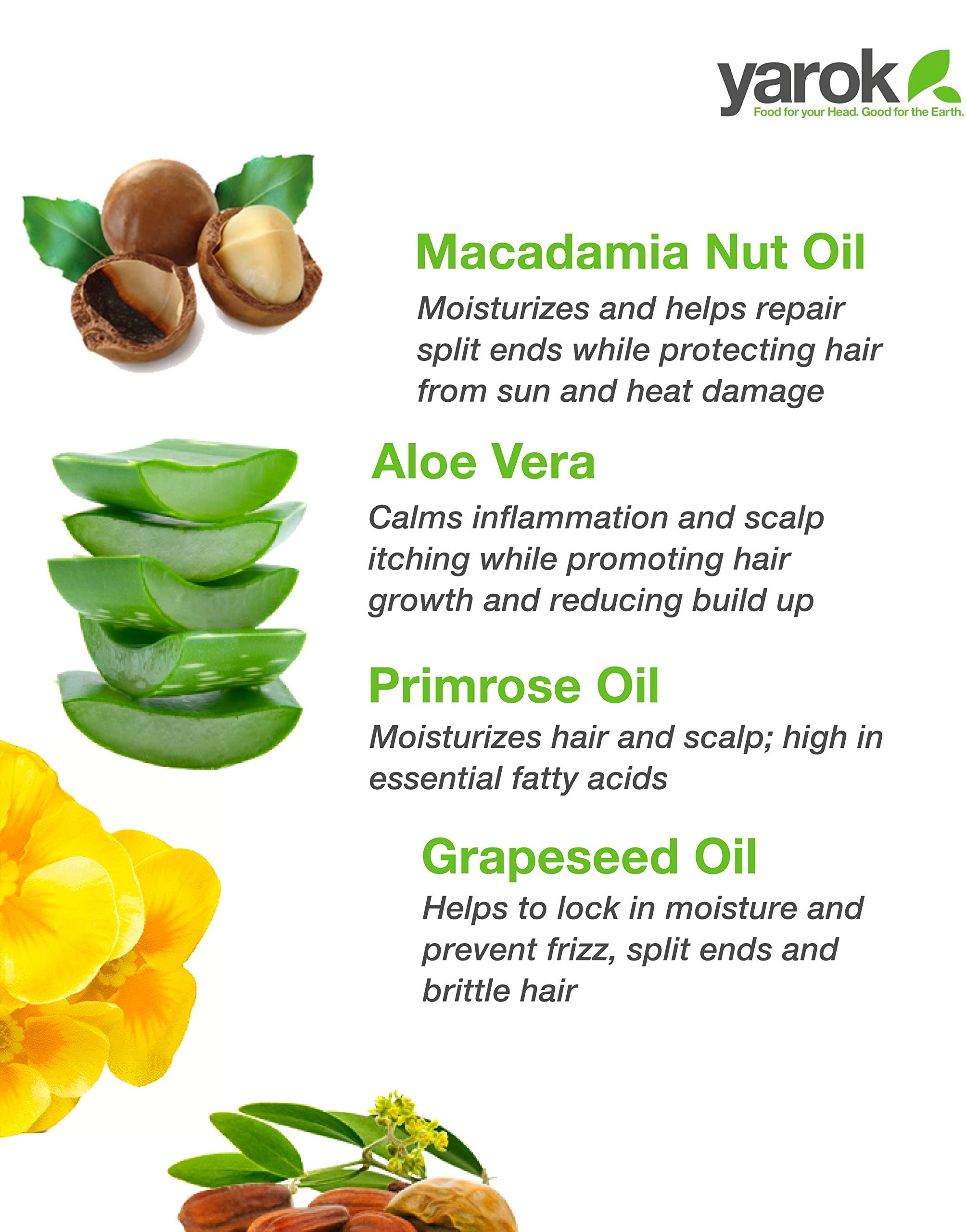 Yarok - Feed Your Volume Shampoo - Volumize, Lift & Moisturize - Nourishing & Moisturizing Cleanse - With Aloe Vera & Macadamia Nut Oil - 100% Vegan - Gluten, Sulfate, Paraben & Cruelty Free - 8.5oz