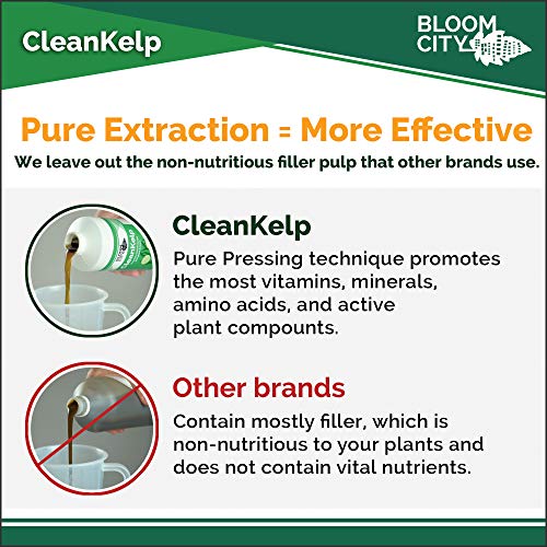 Organic Liquid Kelp Fertilizer - Seaweed Fertilizer for Plants - Concentrated Kelp & Seaweed Extract, Quart (32 oz) Makes 180 Gallons