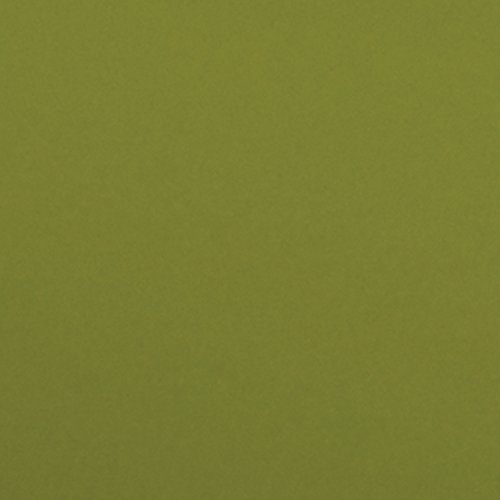 Rachael Ray Dinnerware Round & Square 12-Inch Stoneware Divided Dish, Green