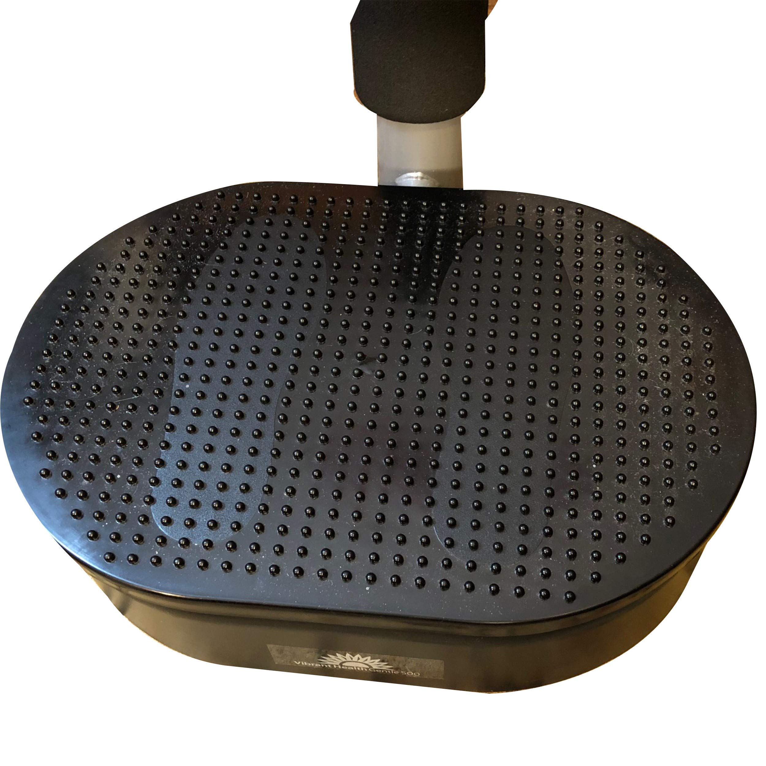 Becky Chambers Vibrant Health Gentle 500 Vertical Vibration Platform Machine