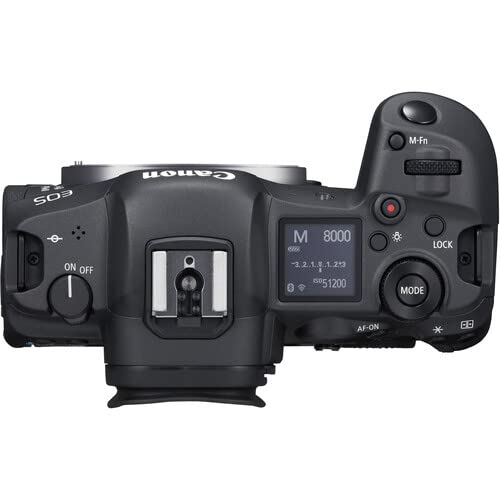 Canon EOS R5 Full Frame Mirrorless Camera with RF 24-105mm STM Lens & 75-300mm f/4-5.6 III Lens, Accessories Including: 2X 64GB Cards, LED Video Light, Microphone, Extra Battery, Case (Renewed)