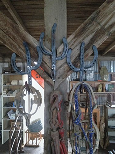 Rustic Horseshoe Cactus Hanger Hooks - The Heritage Forge Polished Metal